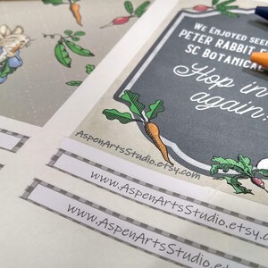 NEW Peter Rabbit Custom Crayon Box Party Favor Kit Peter Rabbit Beatrix ...