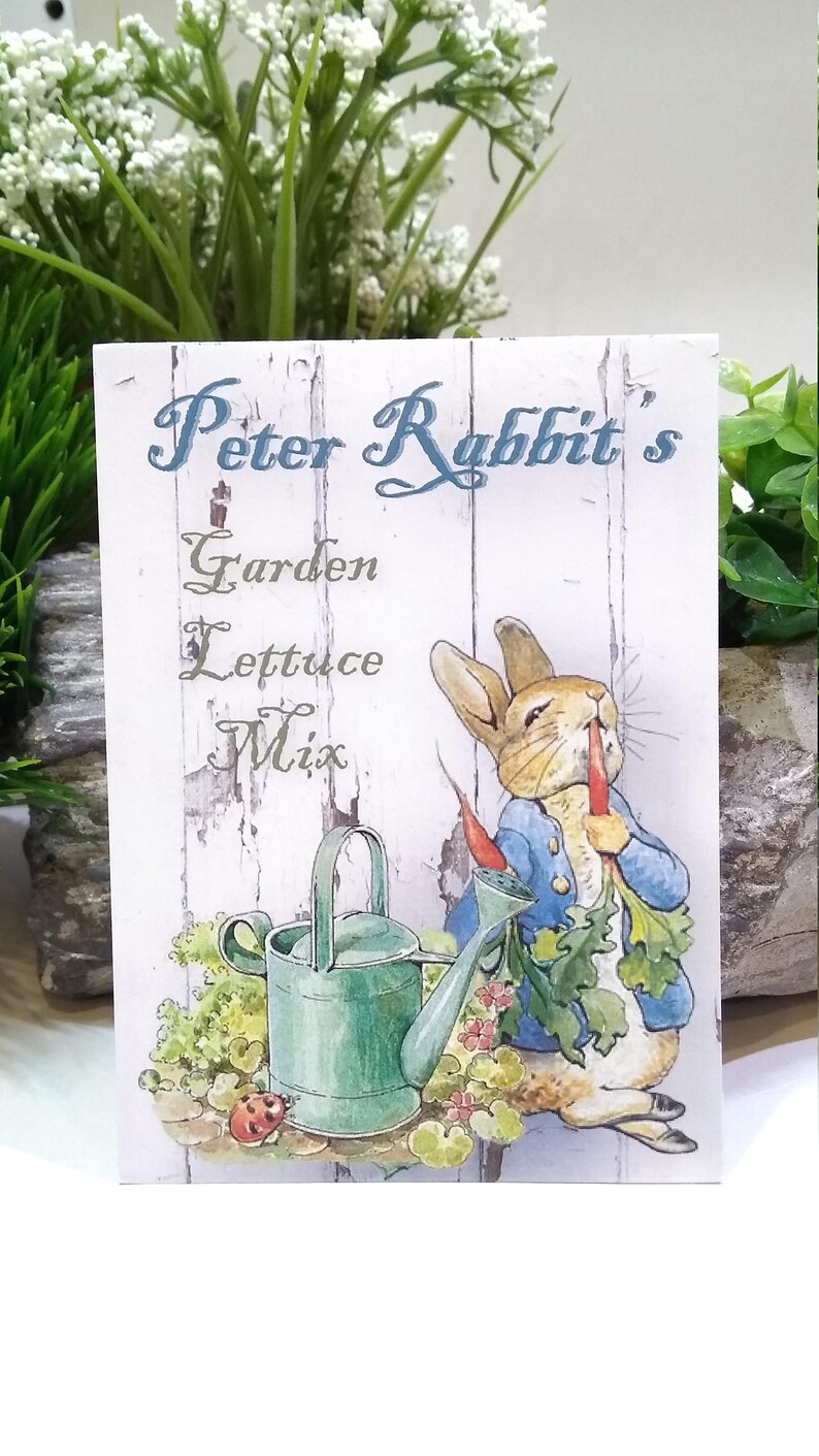 PETER RABBIT Filled Seed Packet Favors Gourmet Lettuce Mix - Etsy India