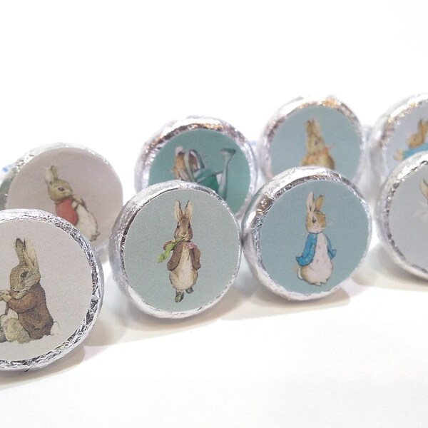 Peter Rabbit First Birthday - Etsy