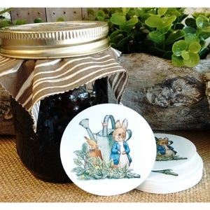 Peter Rabbit Jam Jar Stickers XL 2.5 Inch Stickers Peter Rabbit Party ...