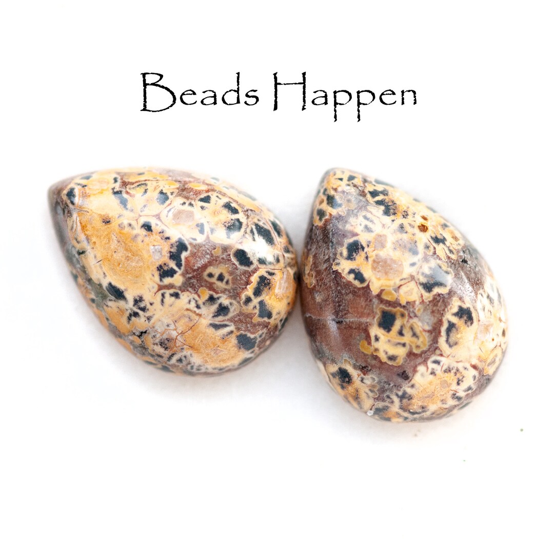 18x13mm Genuine Leopardskin Leopard Skin Agate, Pear Cabochons Cabochon ...