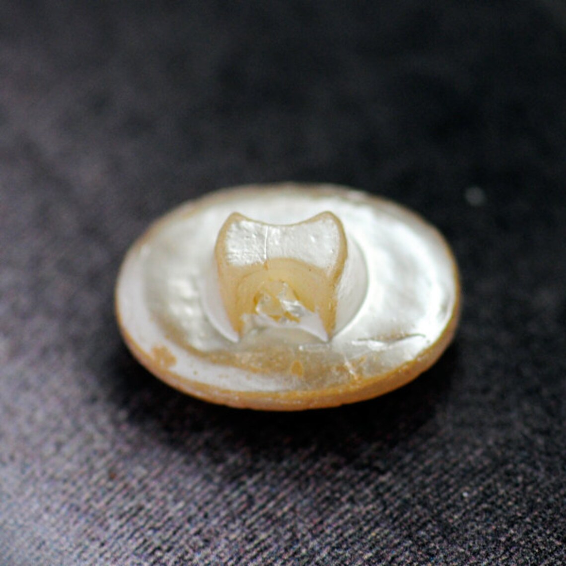Vintage Pearlized Cameo Button 17x12mm Creamy Pearl Buttons - Etsy