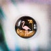 18mm Round Pink Flamingo Glass Cabochon Cab Against Black With Gold ...