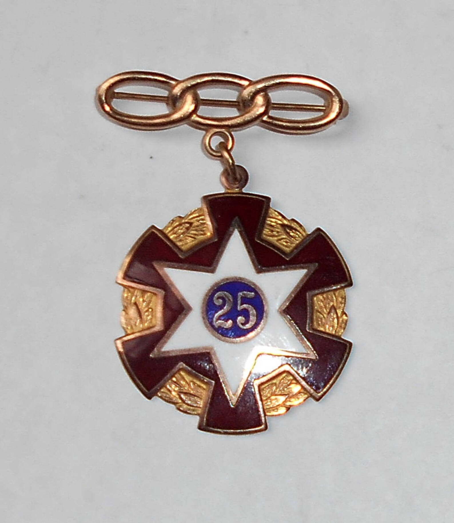 Vintage Enameled 10K Gold IOOF International Order of Odd - Etsy