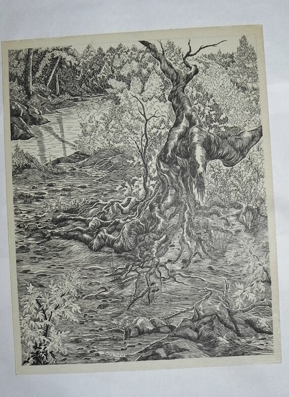 Original Pen & Ink Drawing on Pasteboard by Washington State - Etsy