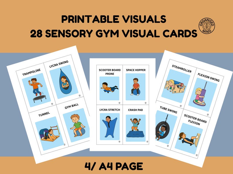 Sensory Gym Visuals. Sensory Flashcards. Occupational Therapy ...