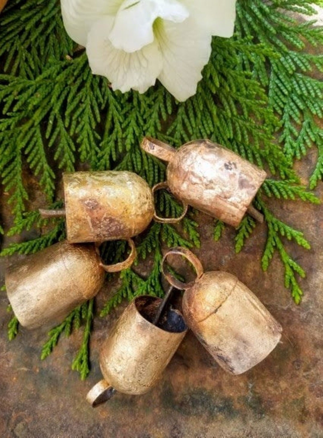 5 Rustic Gold Noah Bells: Holiday Craft Bells, Wreath Decor (2.5") - Etsy