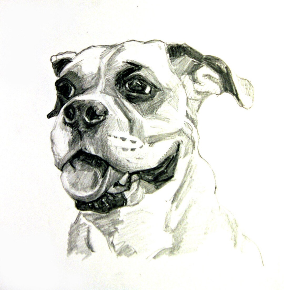 Custom Pet Portrait Graphite on Paper - Etsy