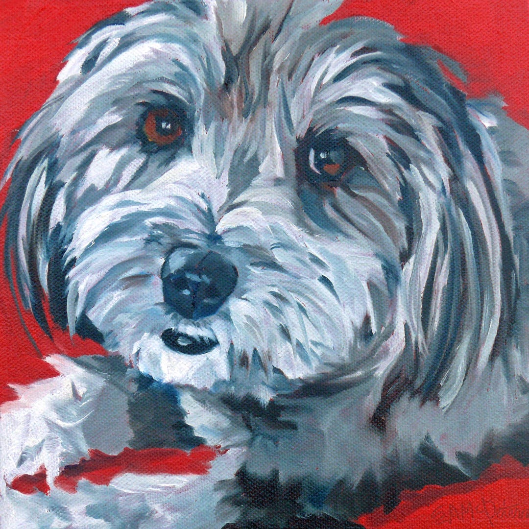 Malti Poo Dog Portrait Painting - Etsy