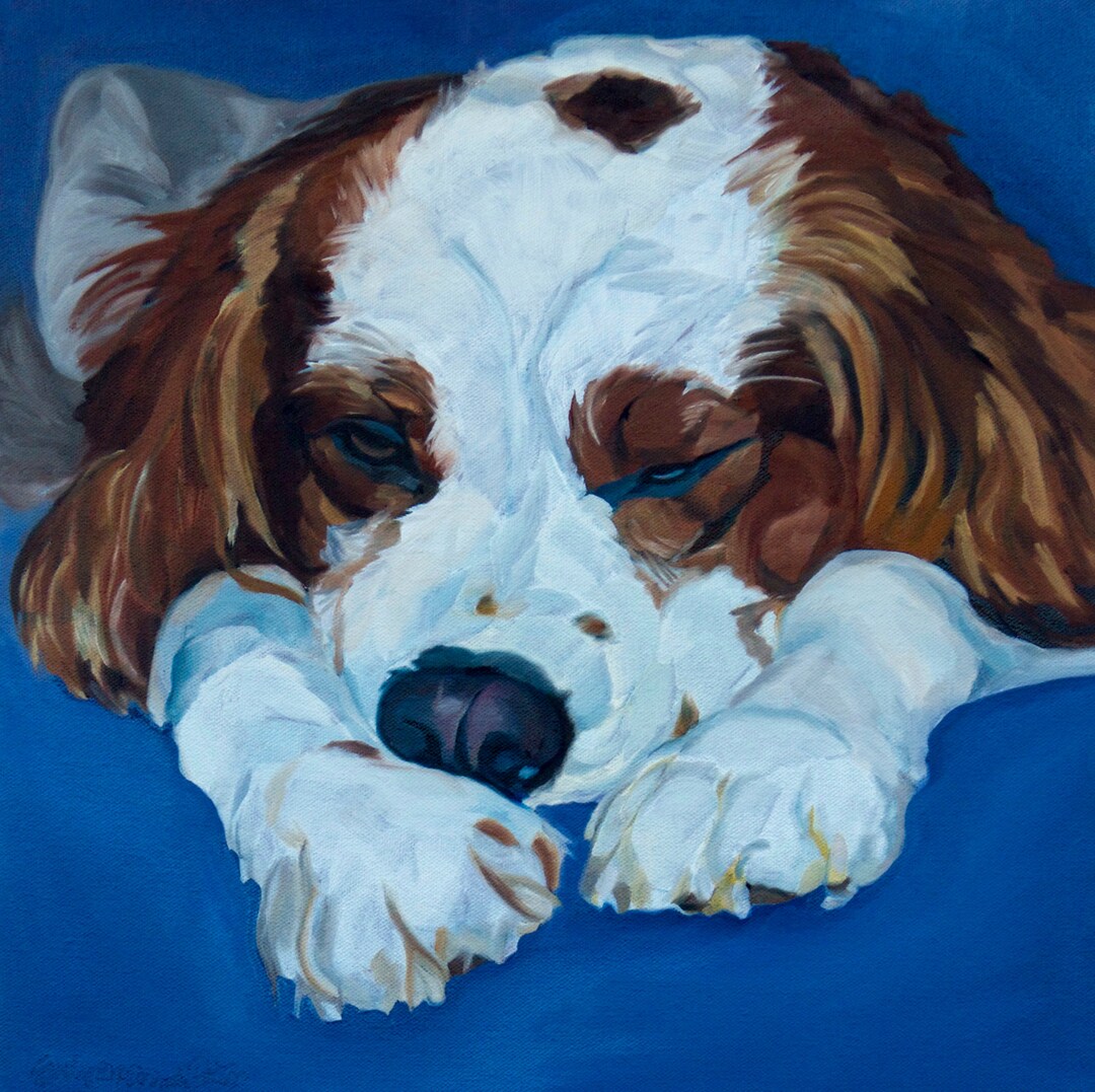 Cocker Spaniel Fuzzy Friend Pet Portrait - Etsy