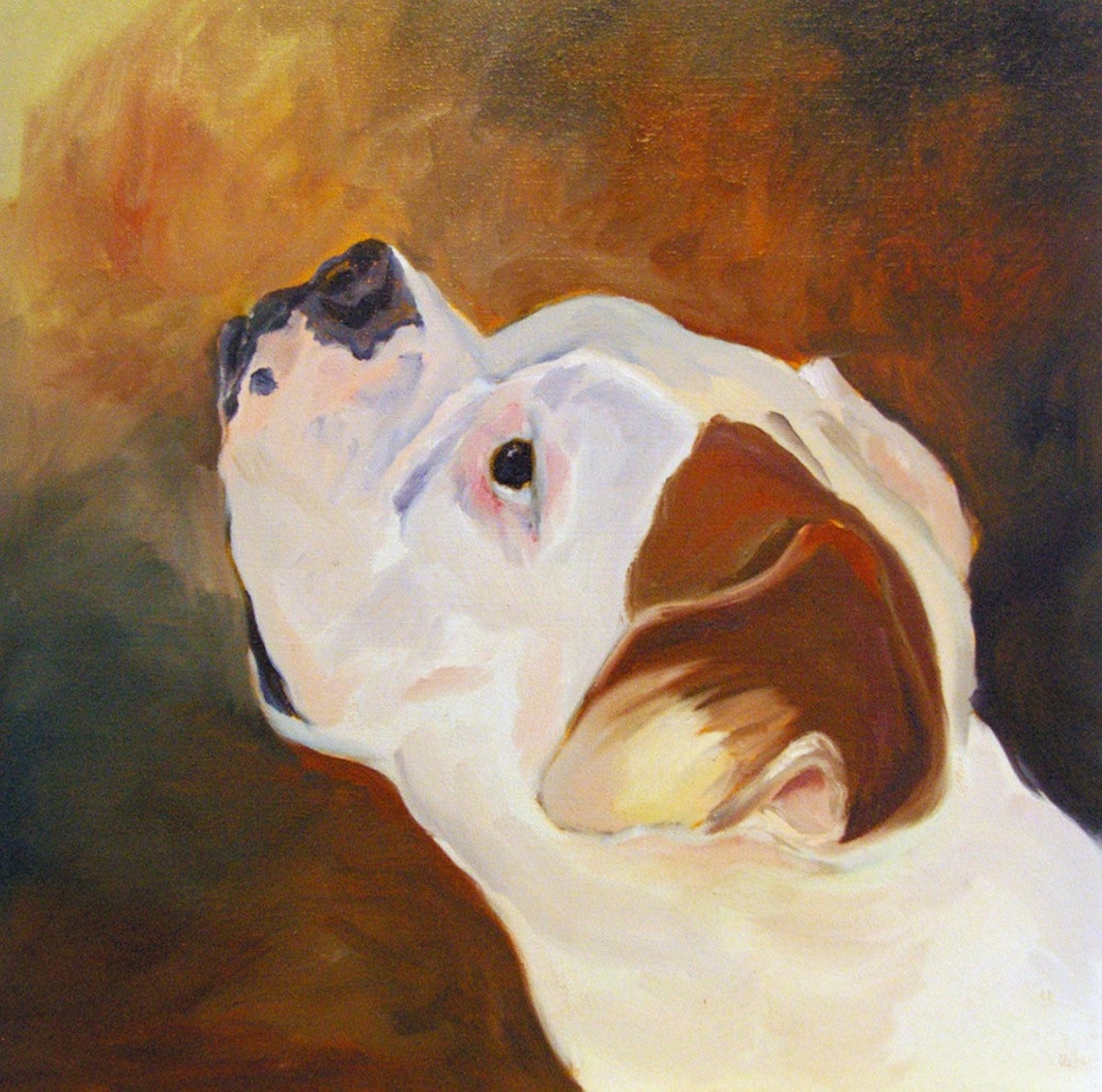White Boxer Dog Fine Art Print - Etsy