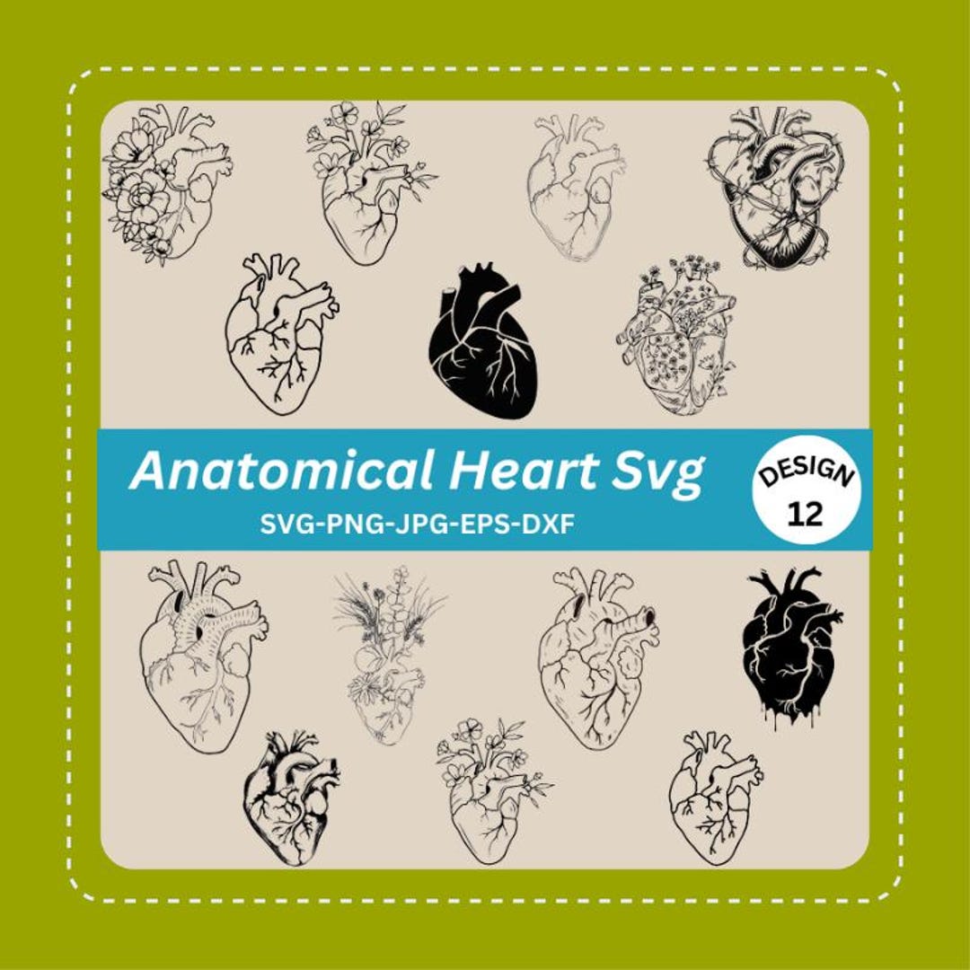 Heart Svg Bundle Anatomical Heart Svg Bundle, Flower Heart Svg, Human ...
