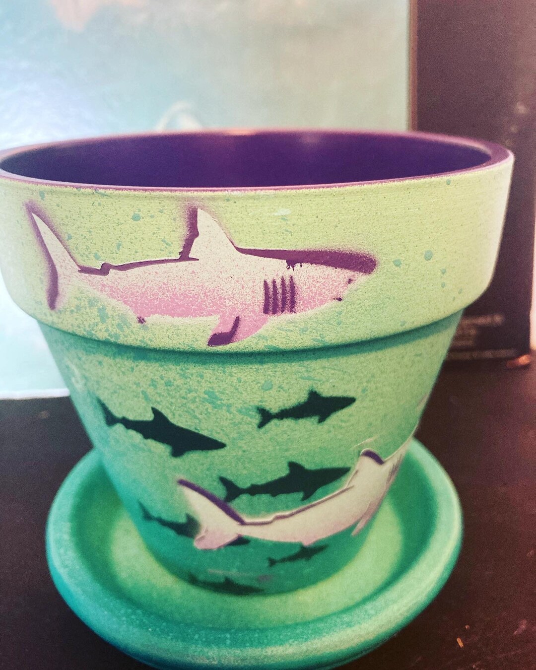 Shark Infested Waters Planter Pot Set - Etsy