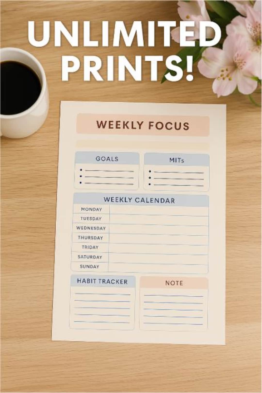Weekly Focus Planner Canva Template – Modern & Printable Organizer - Etsy