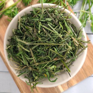 Dried Cleavers - 2025 Season - Galium Aparine - USA Grown - Etsy
