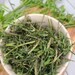Dried Cleavers - 2025 Season - Galium Aparine - USA Grown - Etsy