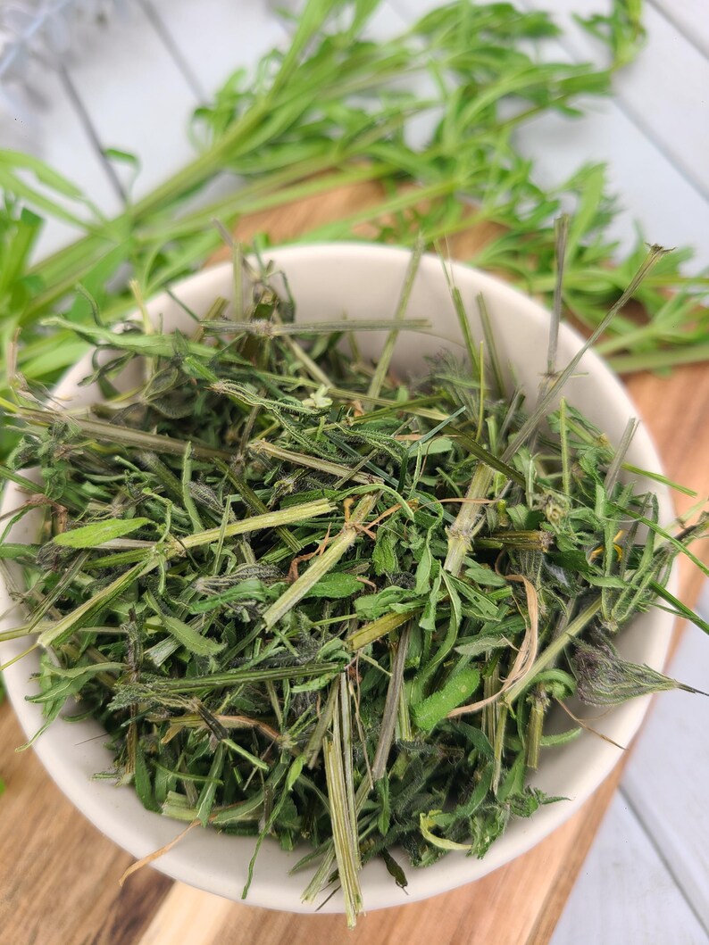 Dried Cleavers - 2025 Season - Galium Aparine - USA Grown - Etsy