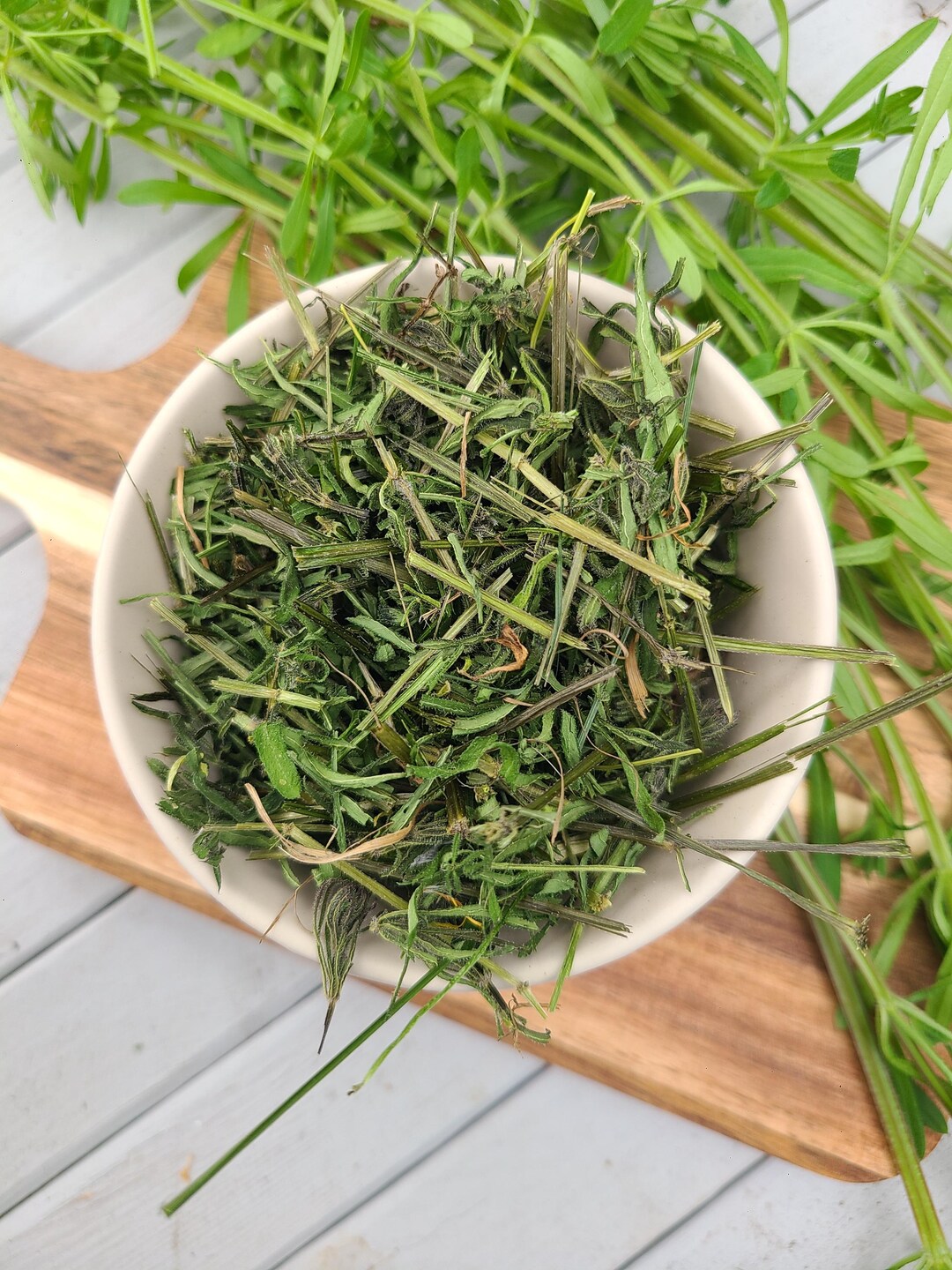 Dried Cleavers - 2025 Season - Galium Aparine - USA Grown - Etsy