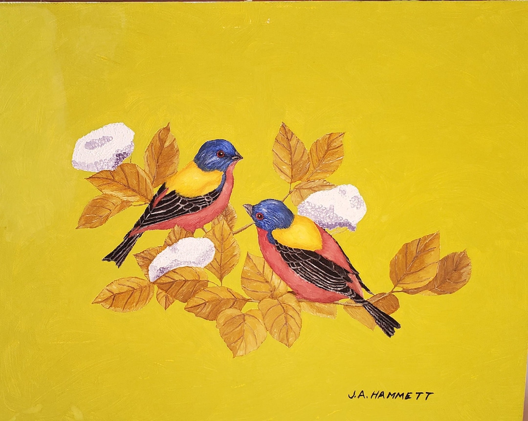 Original Oil Painting of Painted Buntings, Birds on Canvas Board, 11x14 ...