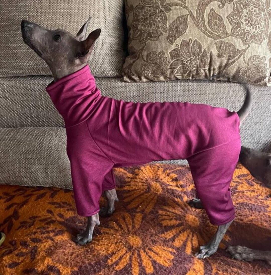 Stretch Summer Dog Tracksuit for Hairless Breeds Xoloitzcuintle, AHT ...