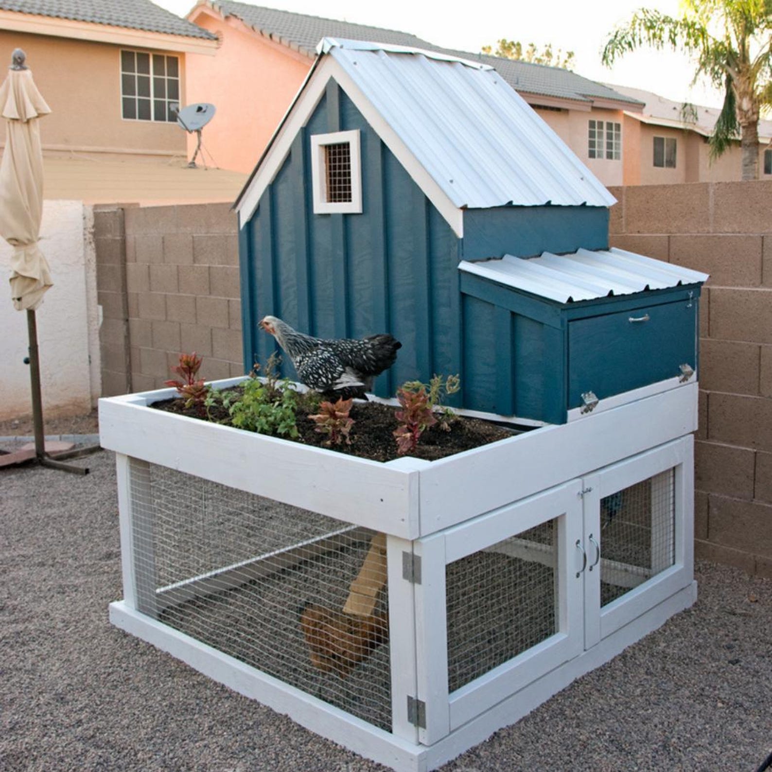 Small Chicken Coop With Planter – DIY Coop Plan With Nesting Box ...