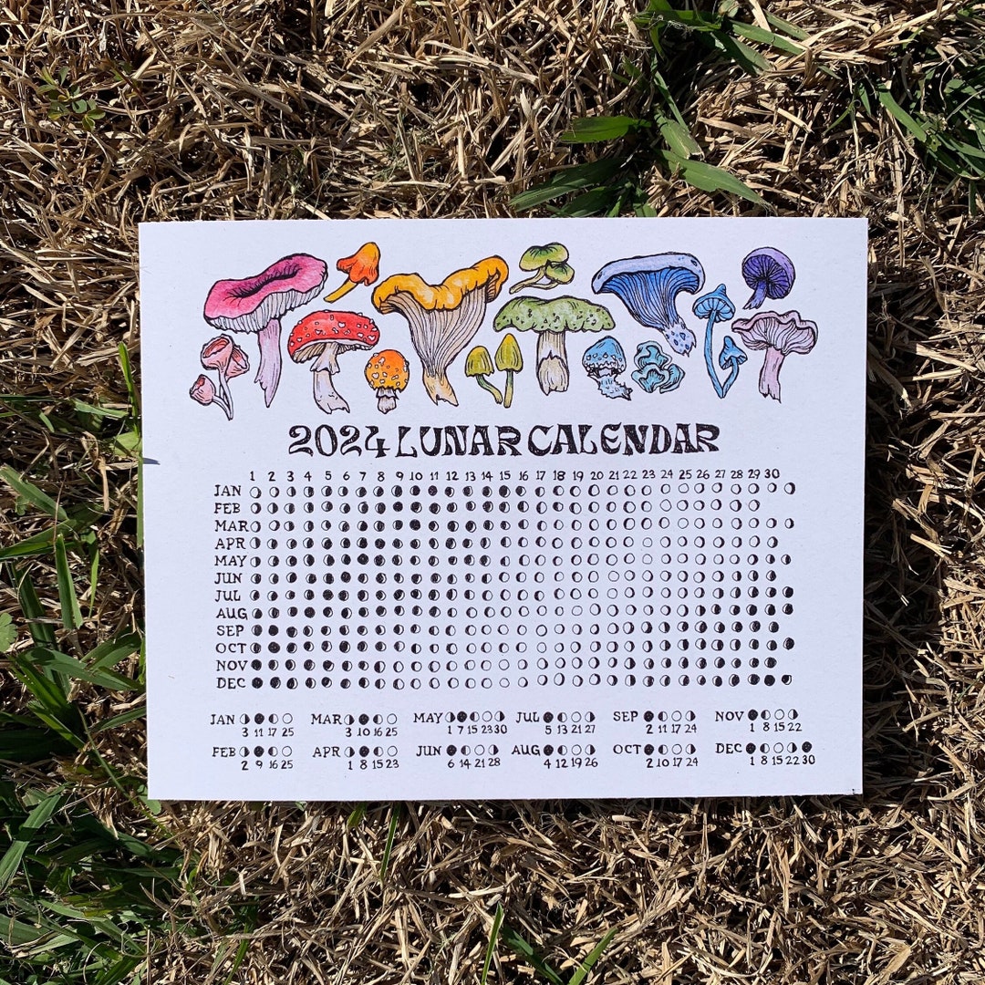 2024 Lunar Moon Calendar Art Print / Illustrated Mushrooms or Moths ...