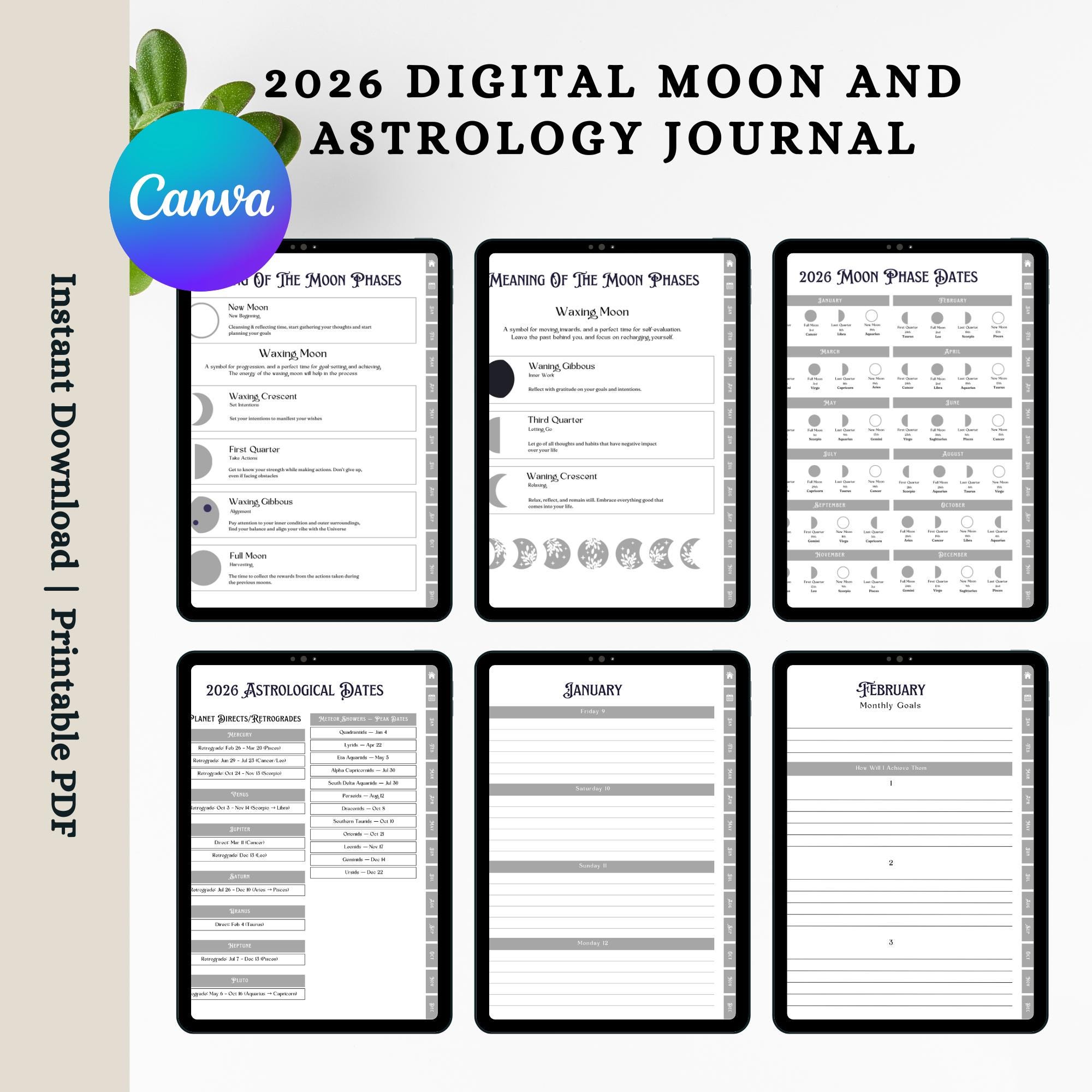 2026 Digital Moon Journal for Ipad, Astrology Planner, Hyperlinked ...