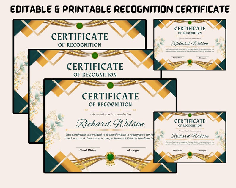 Editable Certificate of Recognition Template: Printable Award (custom ...