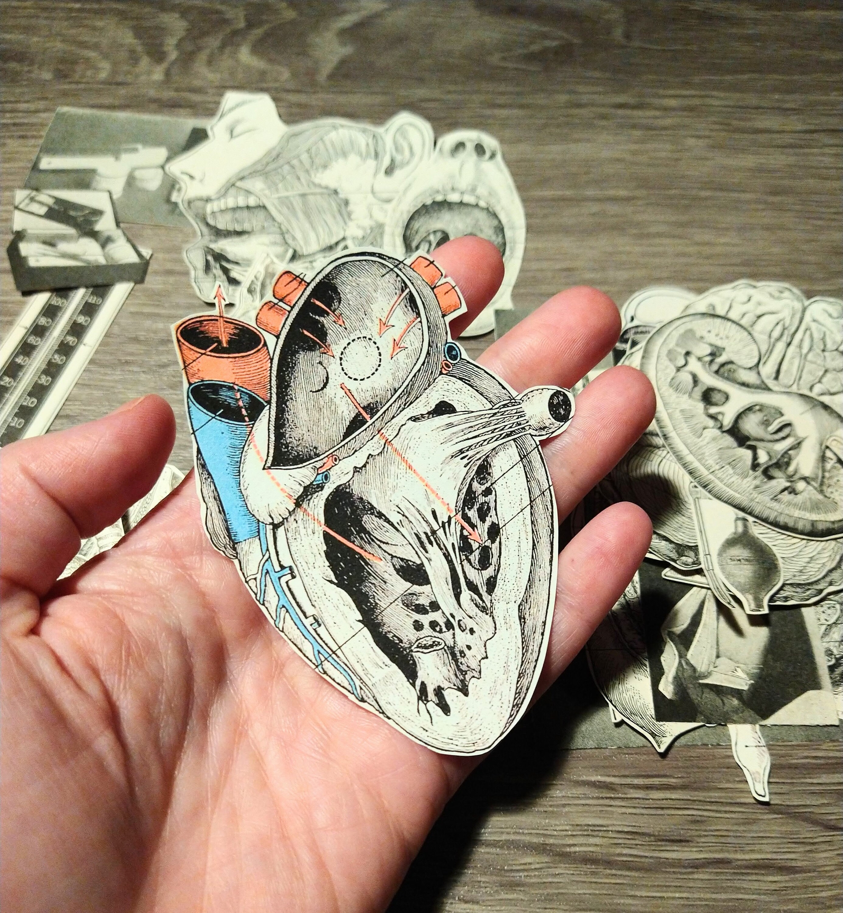 PRINTABLE Anatomy and Medical Supply Illustrations Set - Etsy