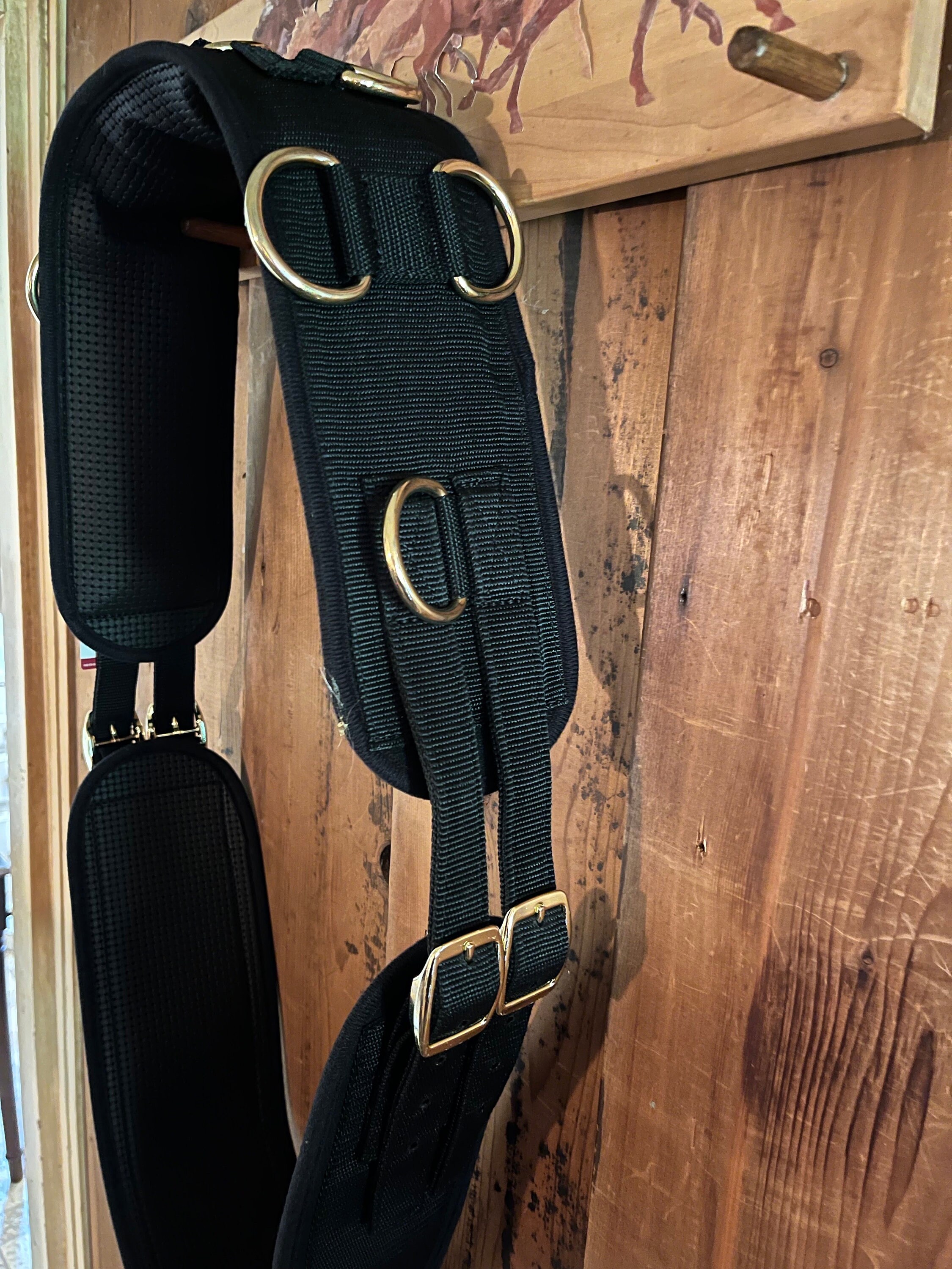 Training Surcingle Horse Ground Driving Nylon W Neoprene Lining ...