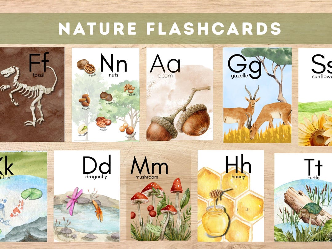 Nature Alphabet Flashcards - Pre-k Homeschool - Montessori - ABC ...