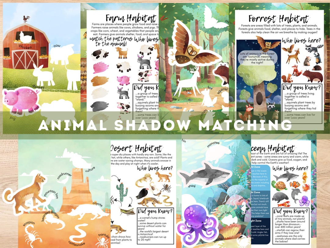 Animal Shadow Matching - Busy Binder - Pre-k - Habitat Unit Study ...