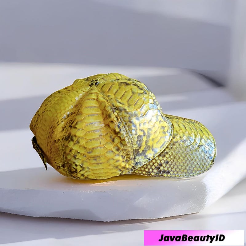 Real Snake Skin - Etsy