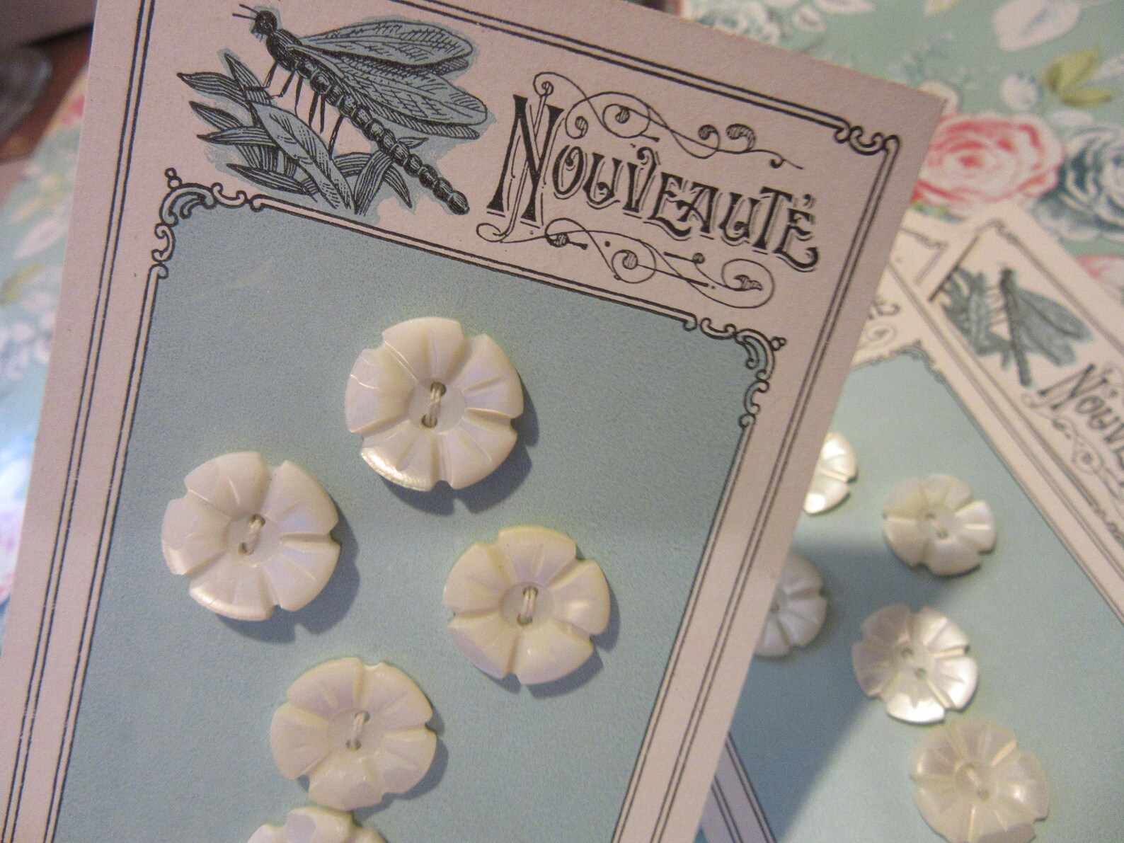 Vintage French Shell Buttons C. 1910s 1 FRENCH on - Etsy