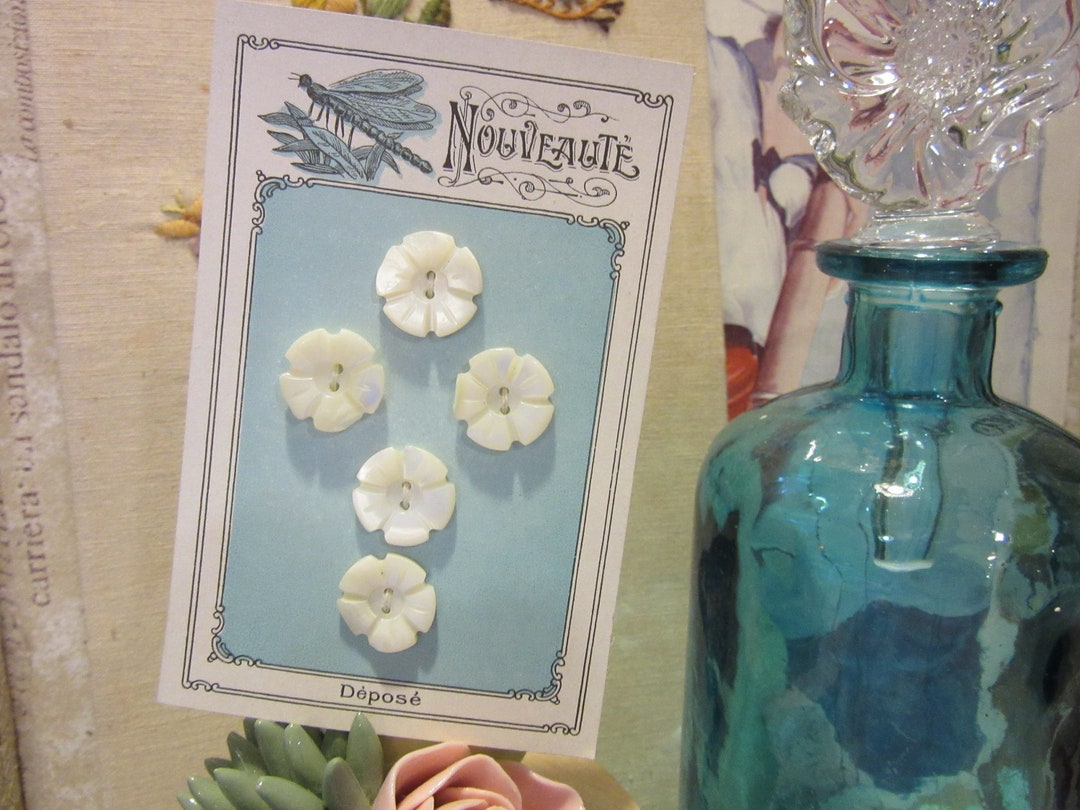 Vintage French Shell Buttons – C. 1910s - 1 FRENCH on Nouveaute ...