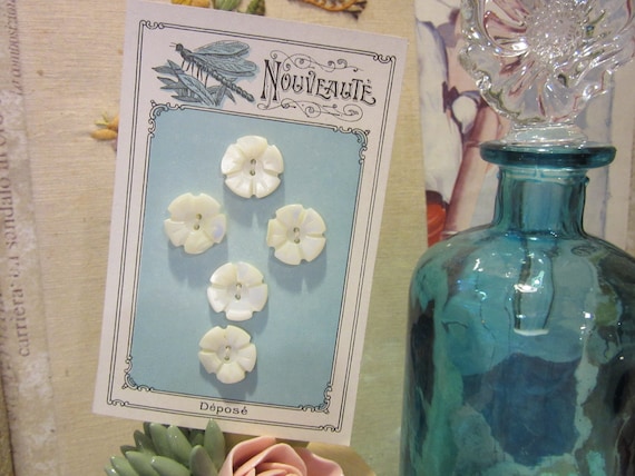 Vintage French Shell Buttons C. 1910s 1 FRENCH on - Etsy