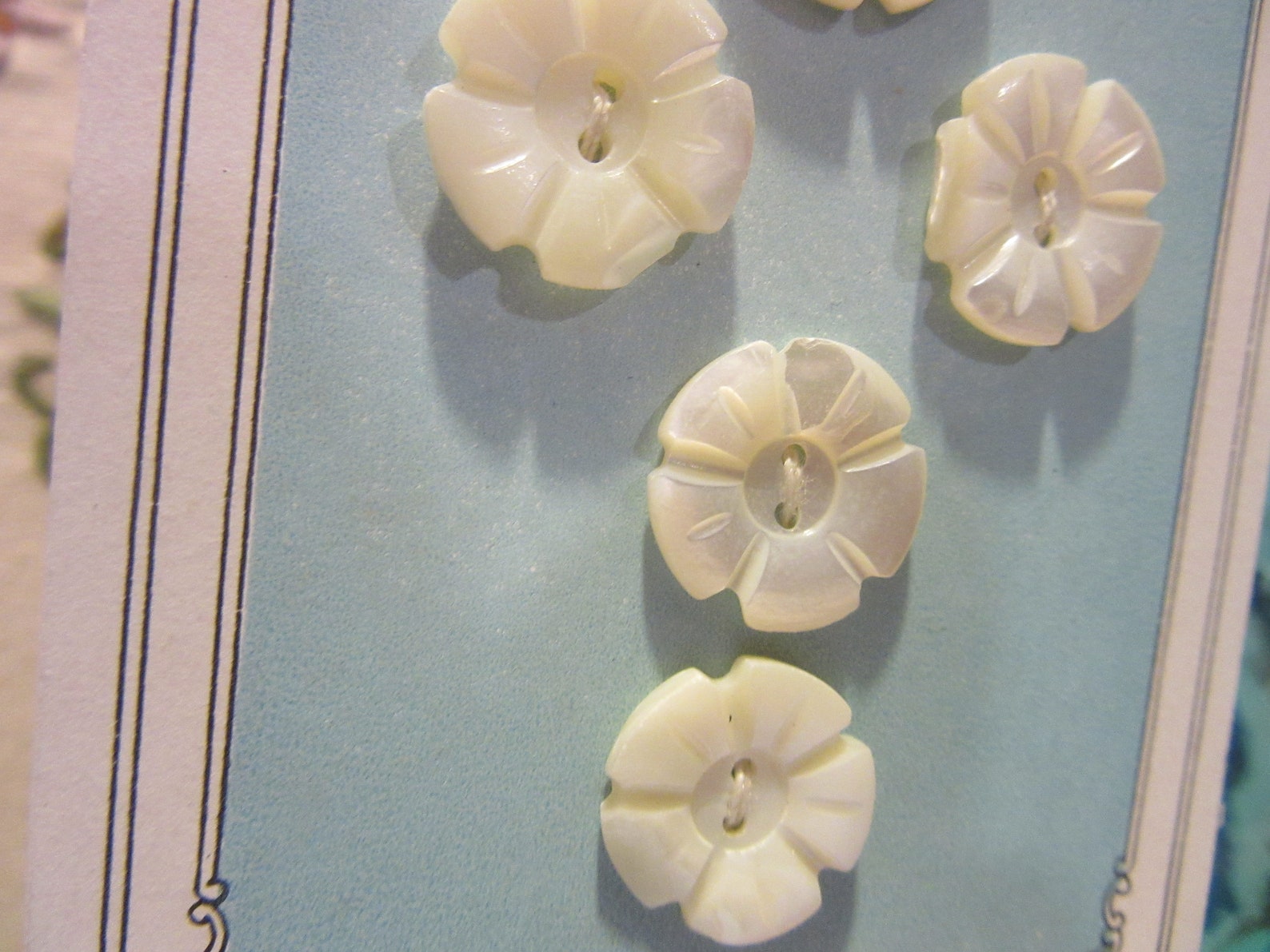 Vintage French Shell Buttons C. 1910s 1 FRENCH on - Etsy