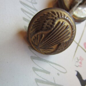 Antique French Metal Brass Button Set of 8 Lot -made in Paris- Uniform ...