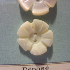 Vintage French Shell Buttons – C. 1910s - 1 FRENCH on Nouveaute ...