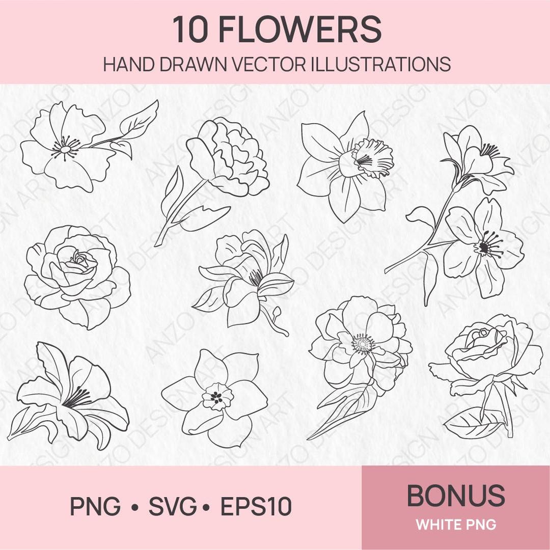 10 Hand Drawn Flower Illustrations – Line Art Floral Clipart for ...