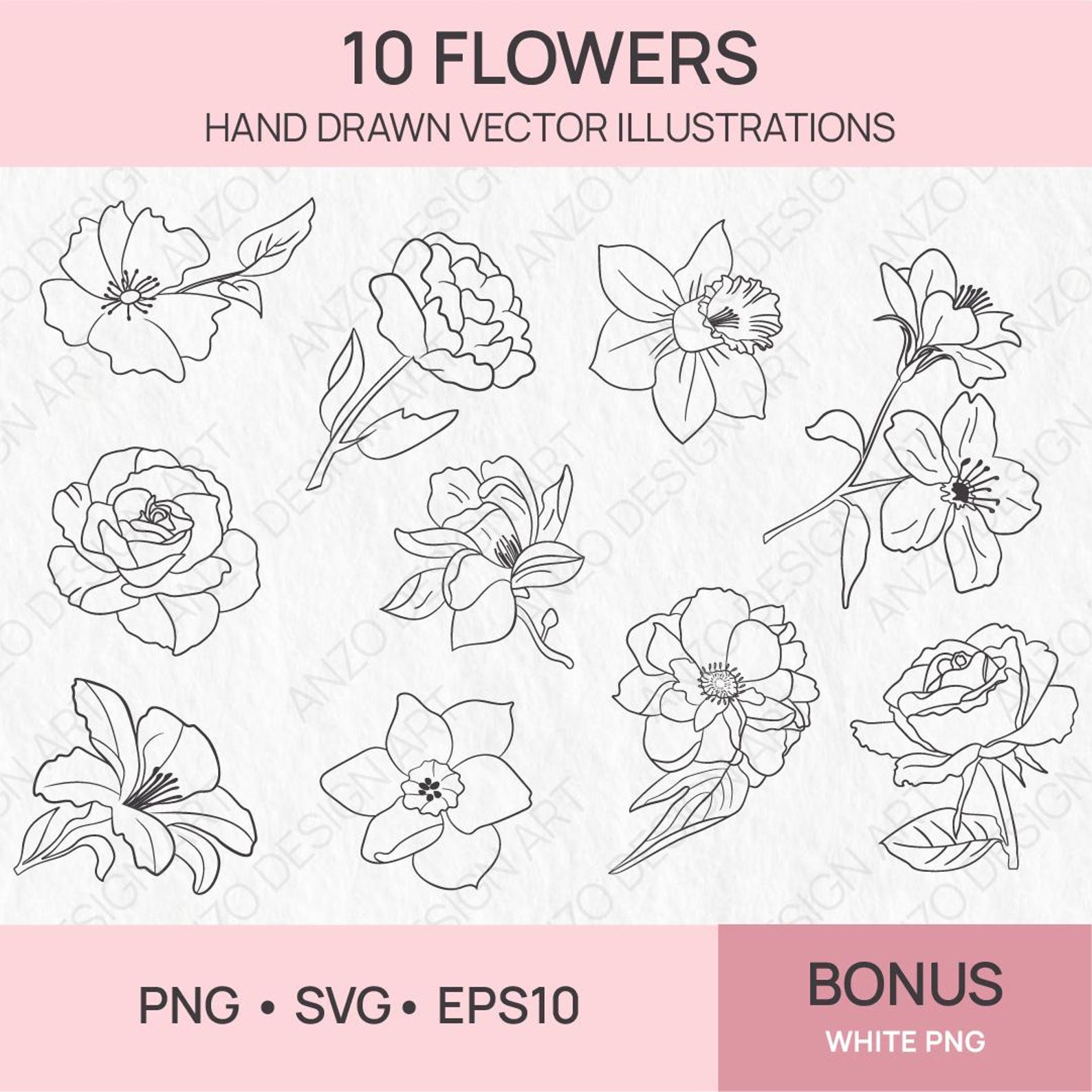 10 Hand Drawn Flower Illustrations – Line Art Floral Clipart for ...