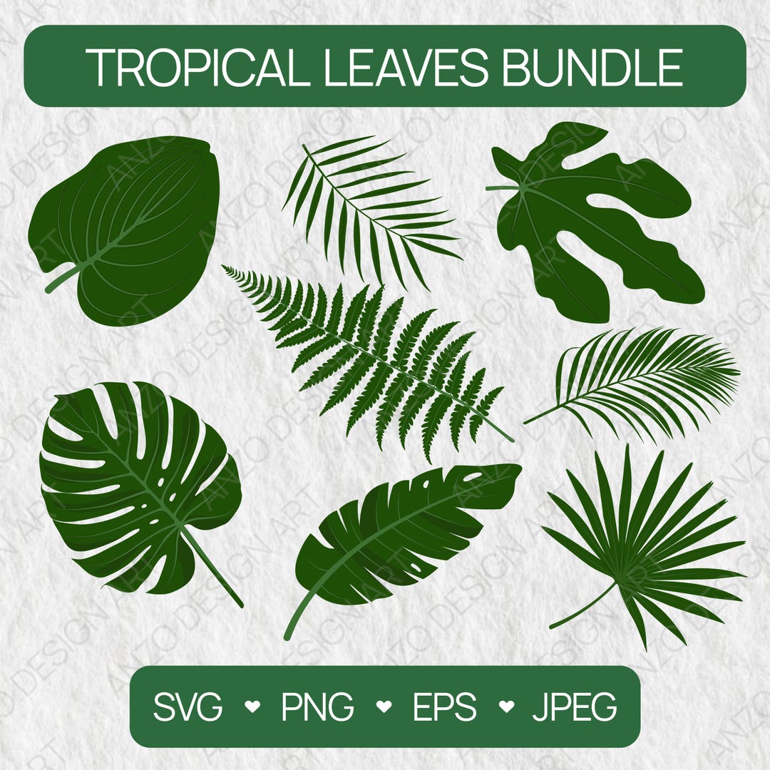 Tropical Leaves Vector Bundle | Monstera, Fern, Palm, Banana Leaf ...