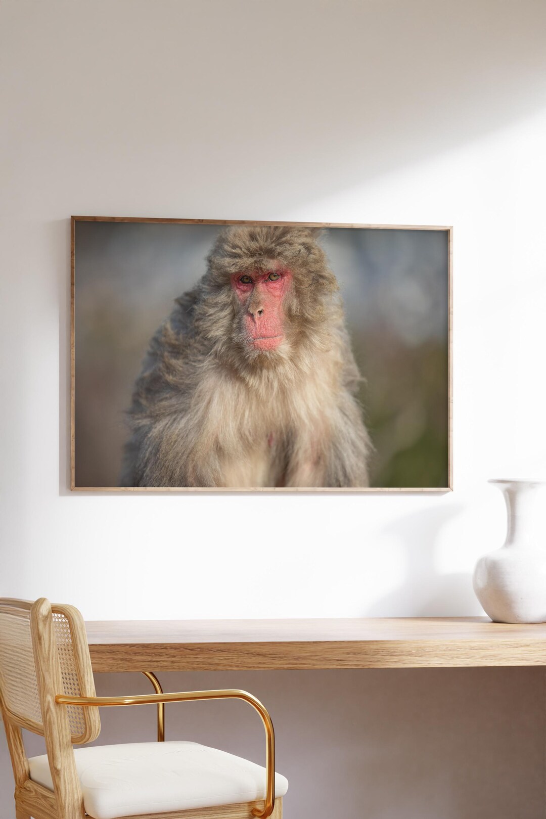 Japanese Macaque Print | Snow Monkey Portrait | Fine Art Wildlife ...