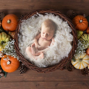 Autumn Fall Newborn Digital Backdrop,pumpkins Digital Background ...
