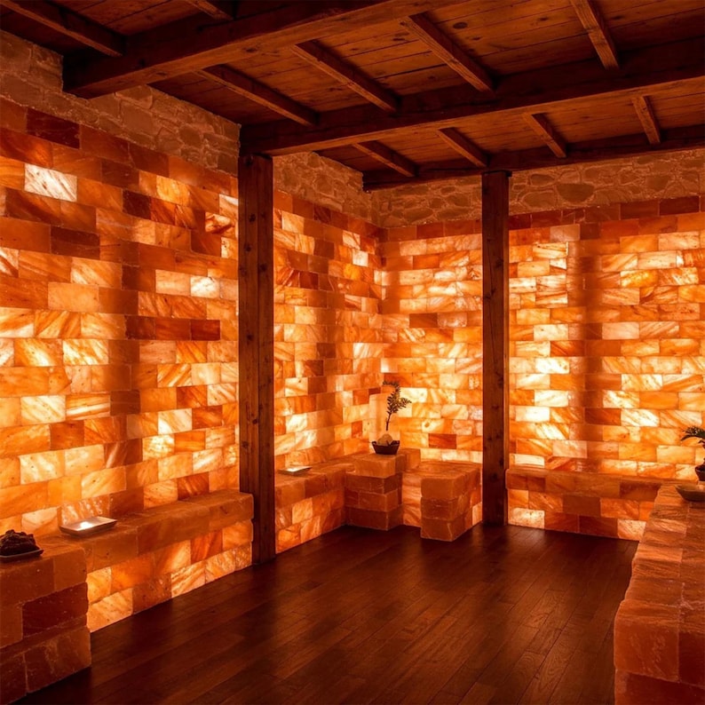 Himalayan Pink Salt Tiles: Natural Bricks for Sauna & Spa Walls (8x4x0 ...