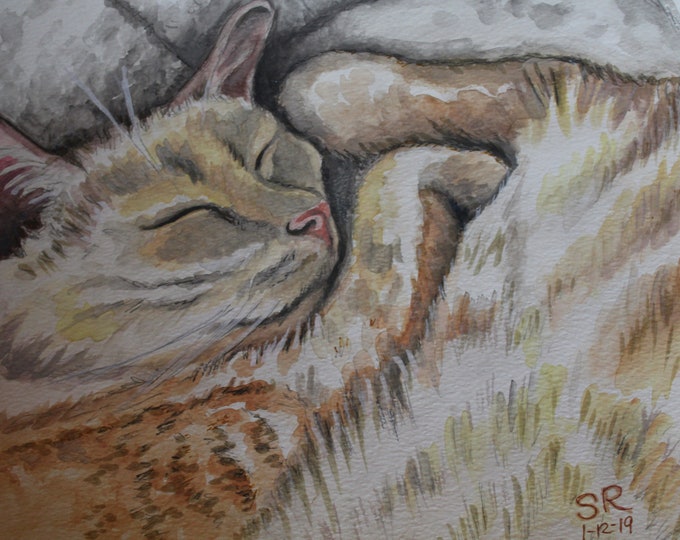 Taking a Cat Nap, Wrap Around Canvas Print - Etsy