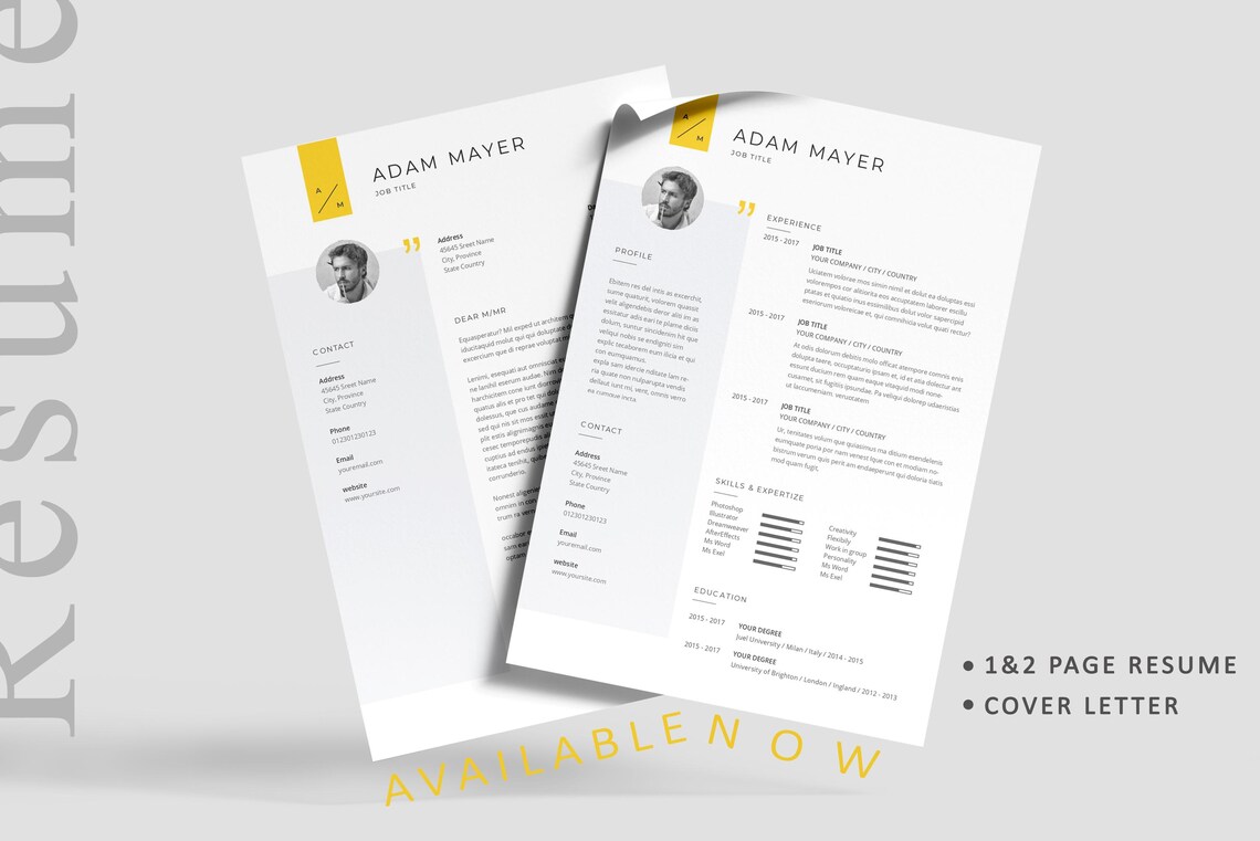Modern ATS Resume | Ats-friendly Resume | ATS Editable Resume | Resume ...