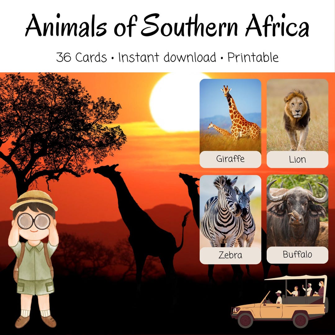 Southern Africa Animal Flash Cards and Matching Games – 36 ID and ...