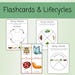 Spring Preschool Worksheets | Alphabet Tracing, Counting, Fine Motor ...