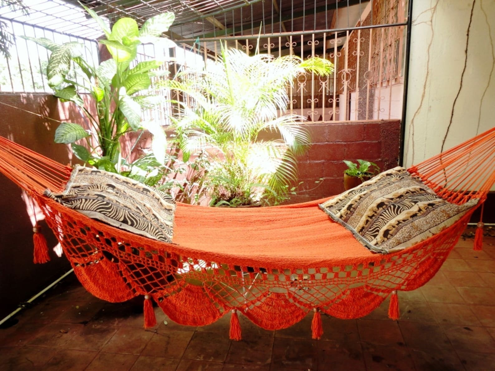 Orange Single Hammock Hand-woven Natural Cotton Special Fringe - Etsy